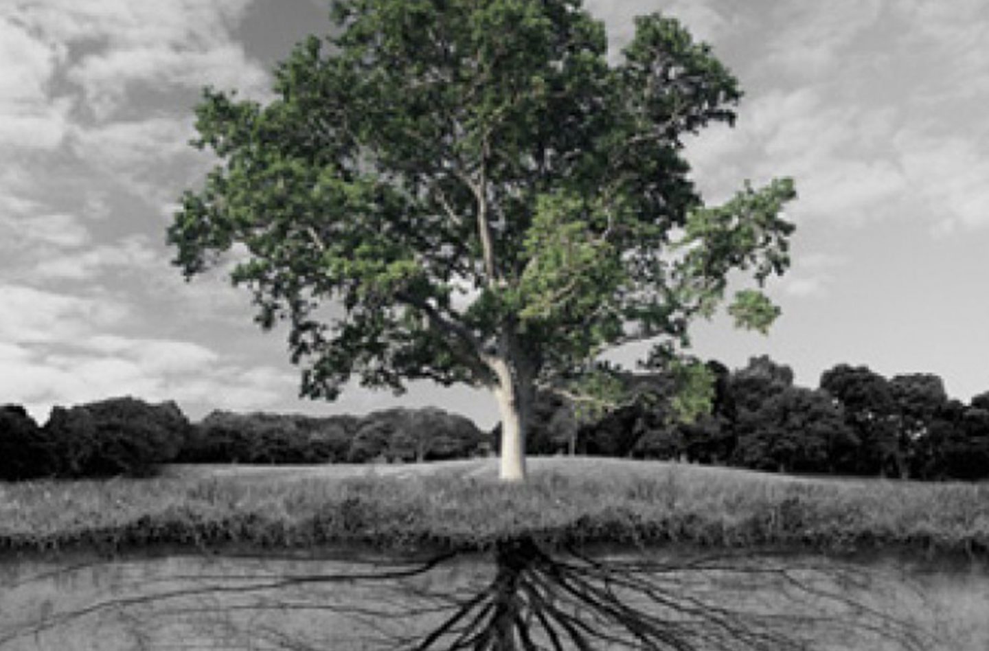 5 Whys Quickly Getting To The Root Of A Problem - DropJaw Ventures